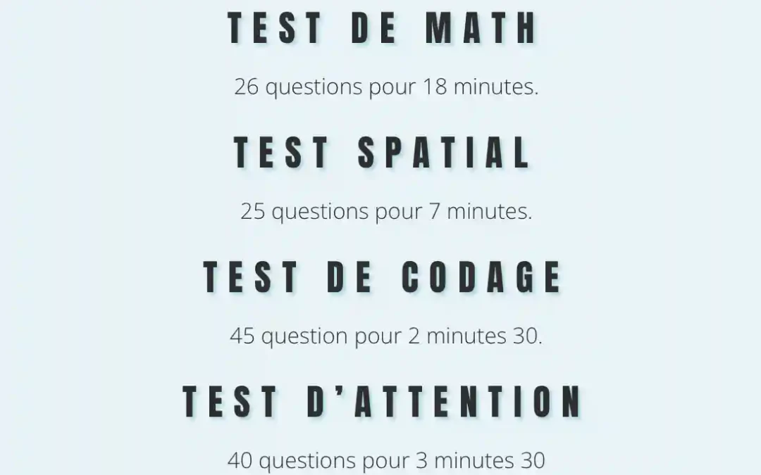 vignette-tamic – Devenez pilote